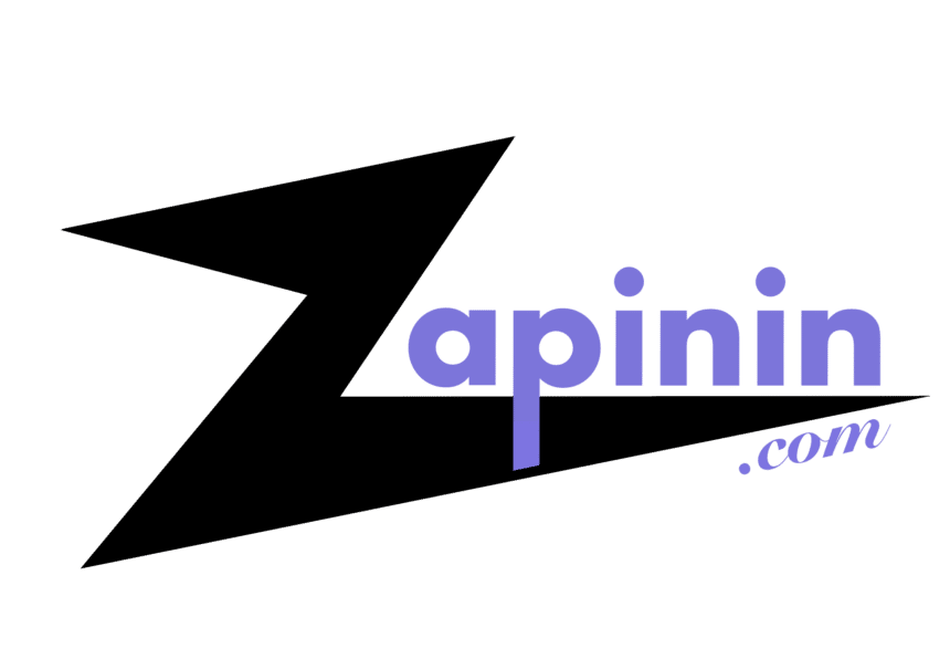 Zapinin 2024 - Zapinin