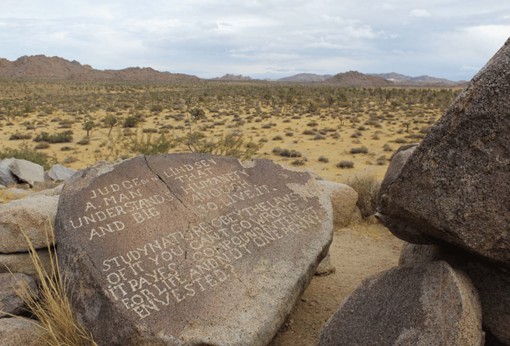 Mojave Desert Land Trust Permanently Protected 6,901 Acres This Year ...