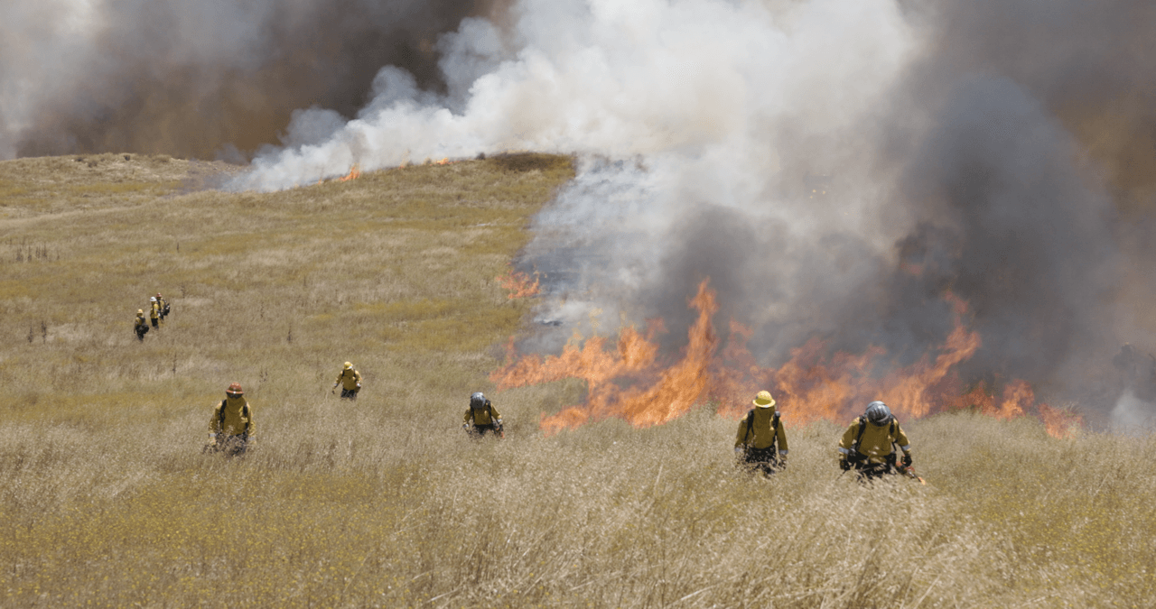 Crews Torch over 100 Acres Around Lake Mathews - Zapinin